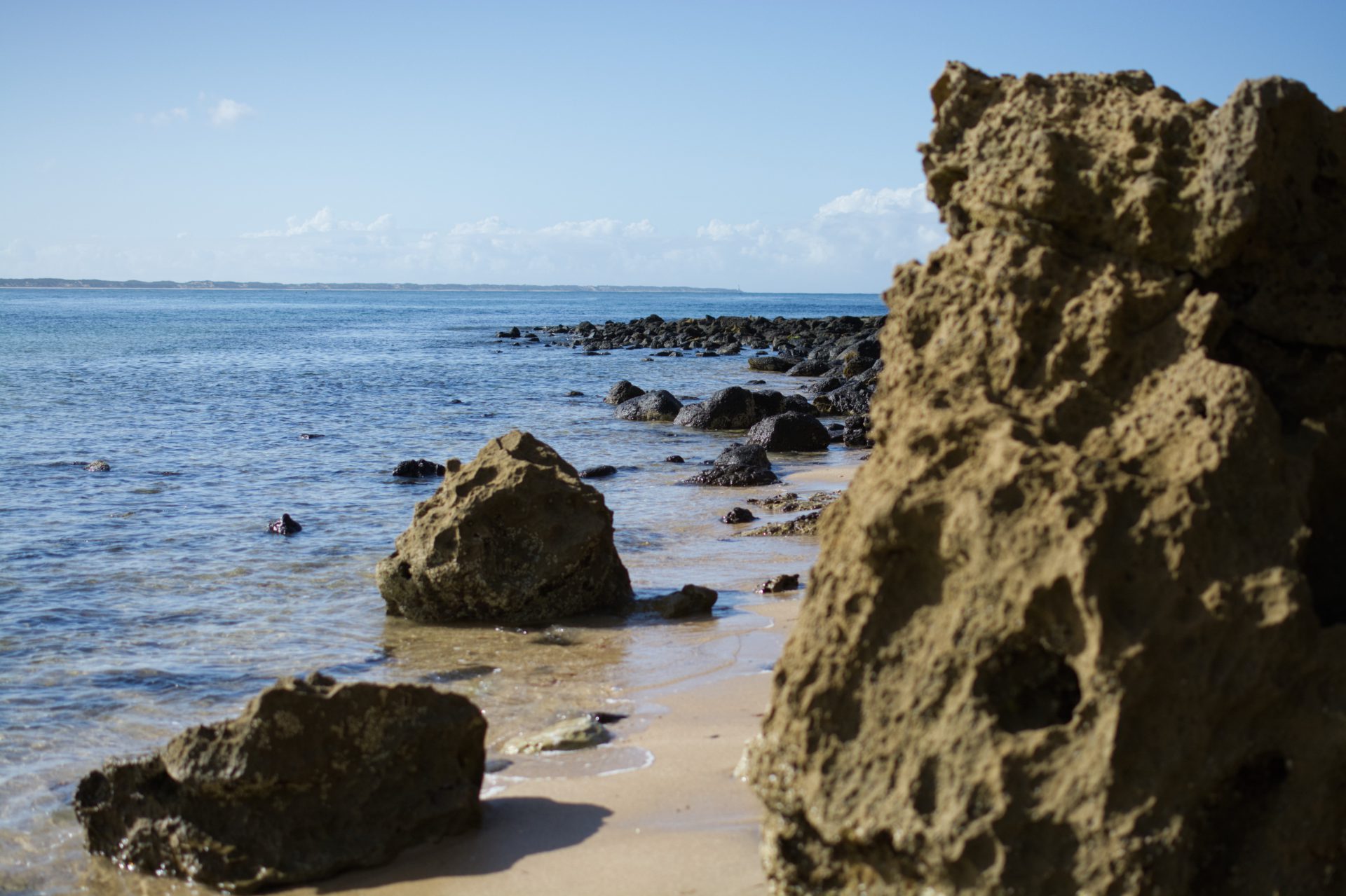 Conservation – Barwon Bluff