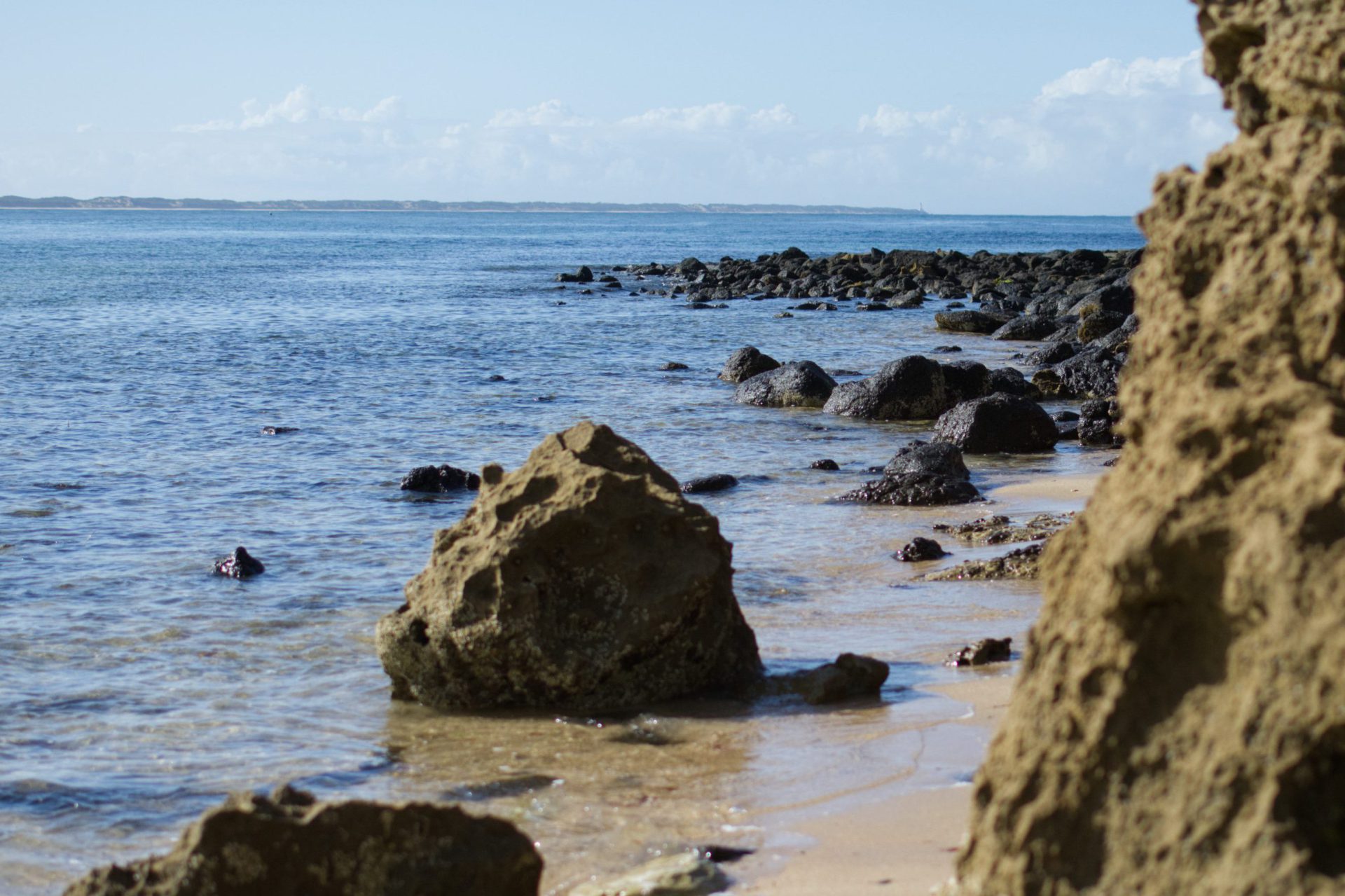 About the Bluff – Barwon Bluff