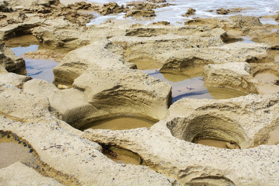 Geology – Barwon Bluff