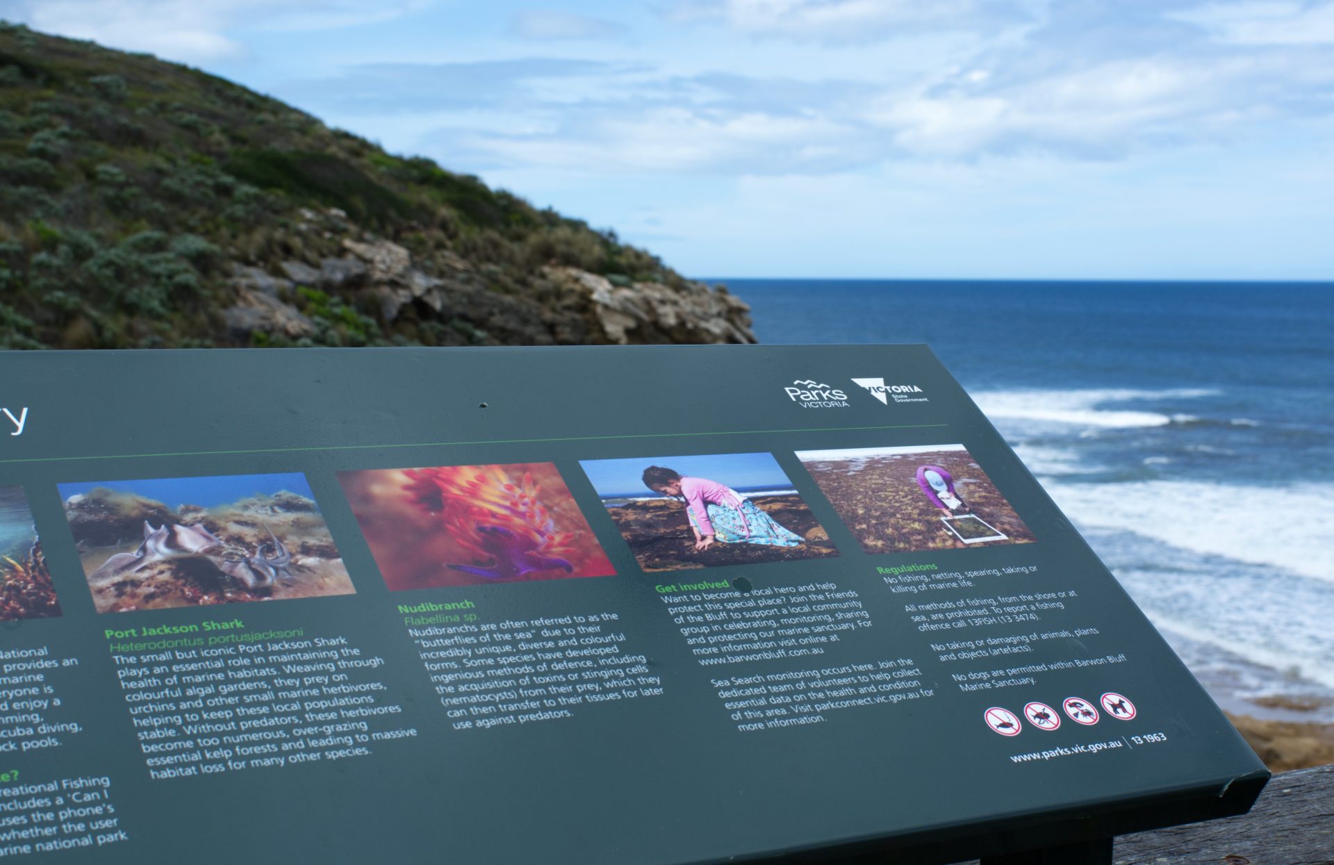 Barwon Bluff Marine Sanctuary – Barwon Bluff