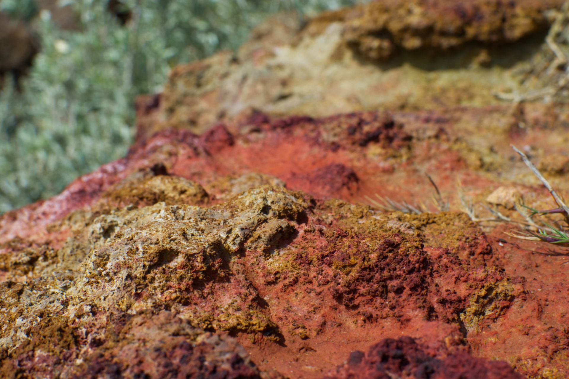 Seasons – Barwon Bluff