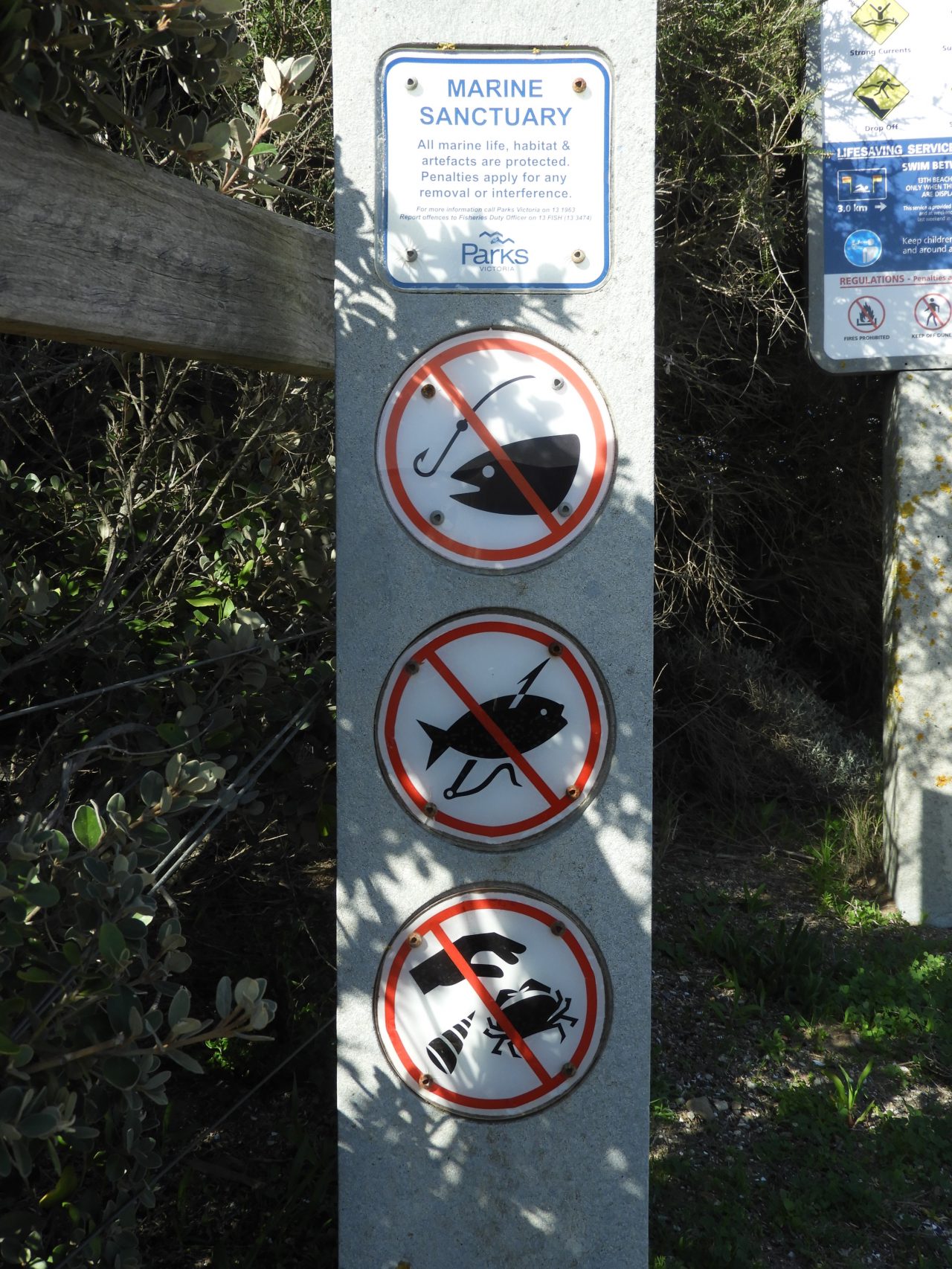 Barwon Bluff Marine Sanctuary – Barwon Bluff