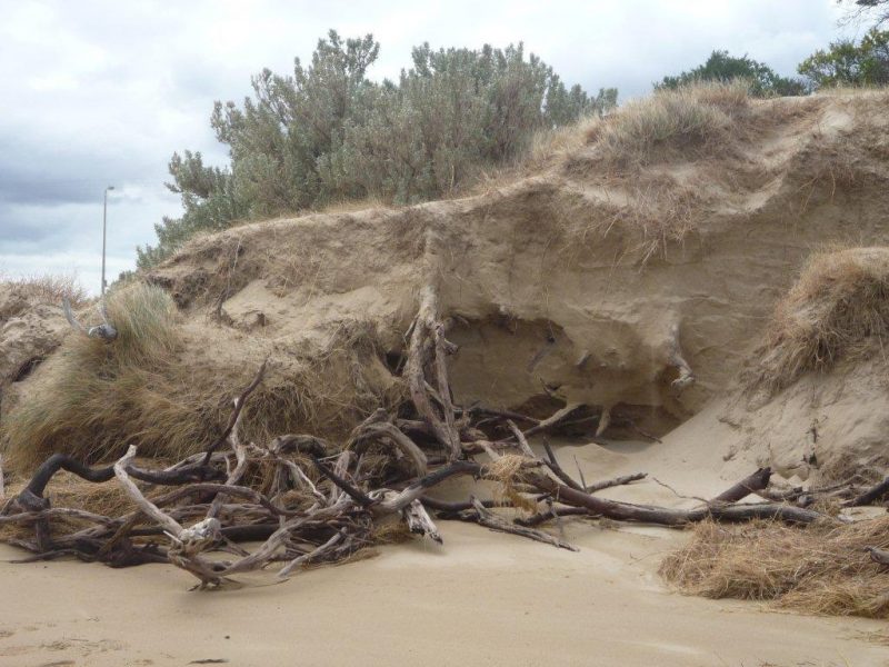 Climate – Barwon Bluff