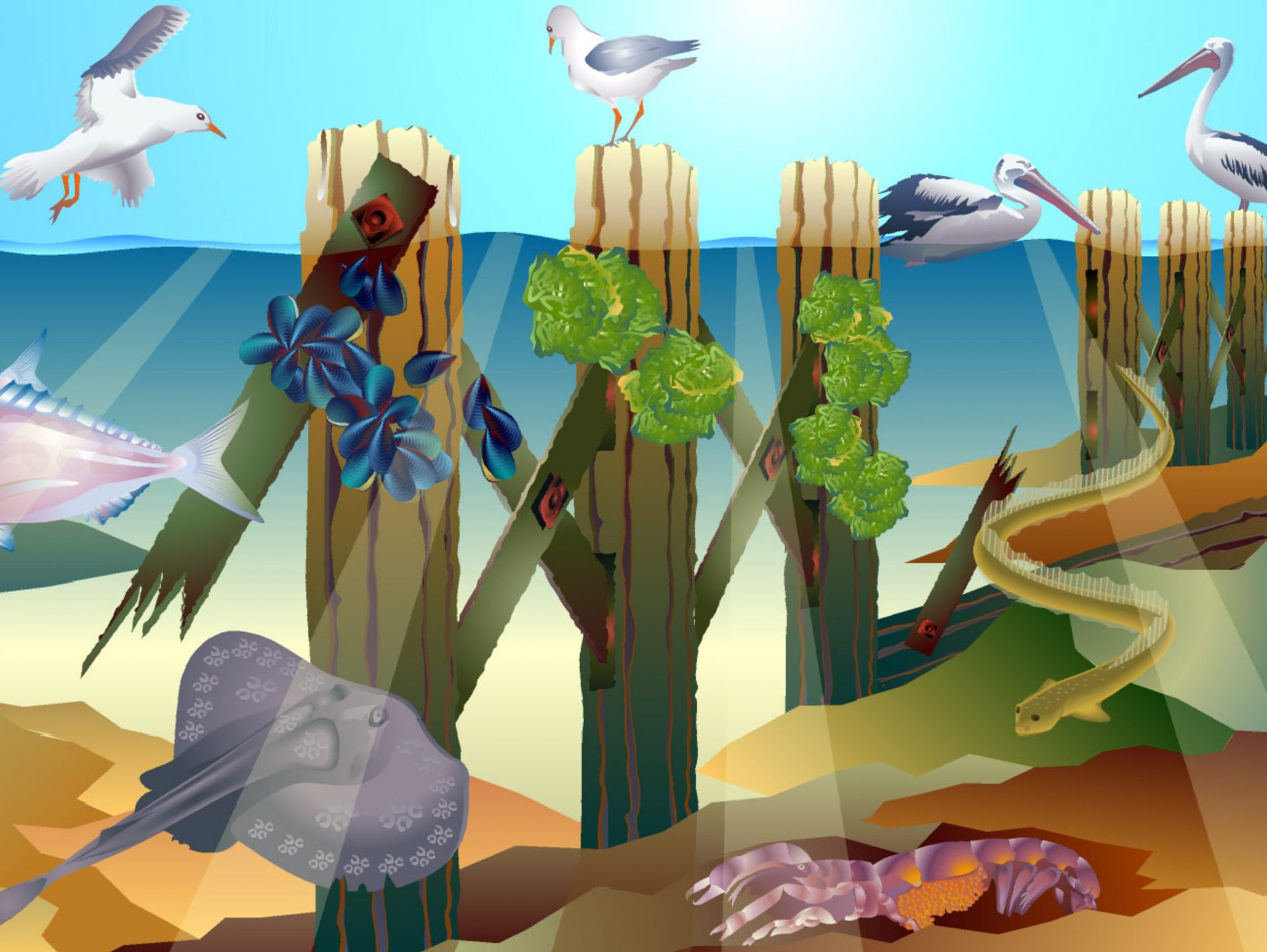 Online Activities – Barwon Bluff