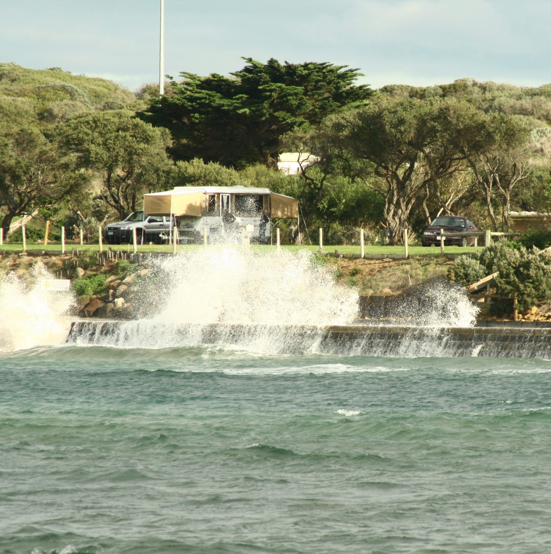 Conservation – Barwon Bluff