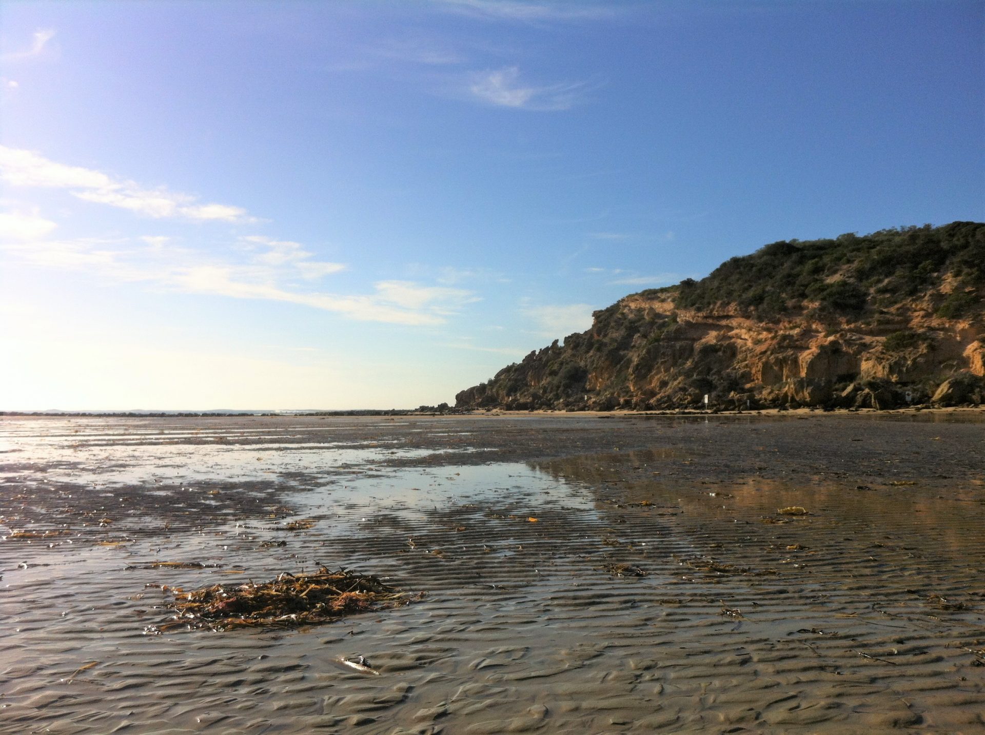 About the Bluff – Barwon Bluff